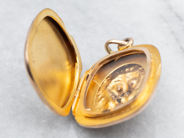 Yellow Gold Old Mine Cut Diamond and Demantoid Garnet Lion Locket with ...